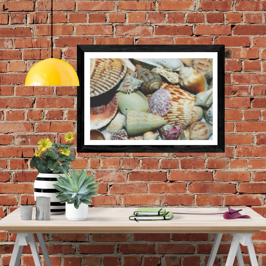 "Florida Beach Shells" Diamond Painting Kit (Full Drill) – Paint With ...