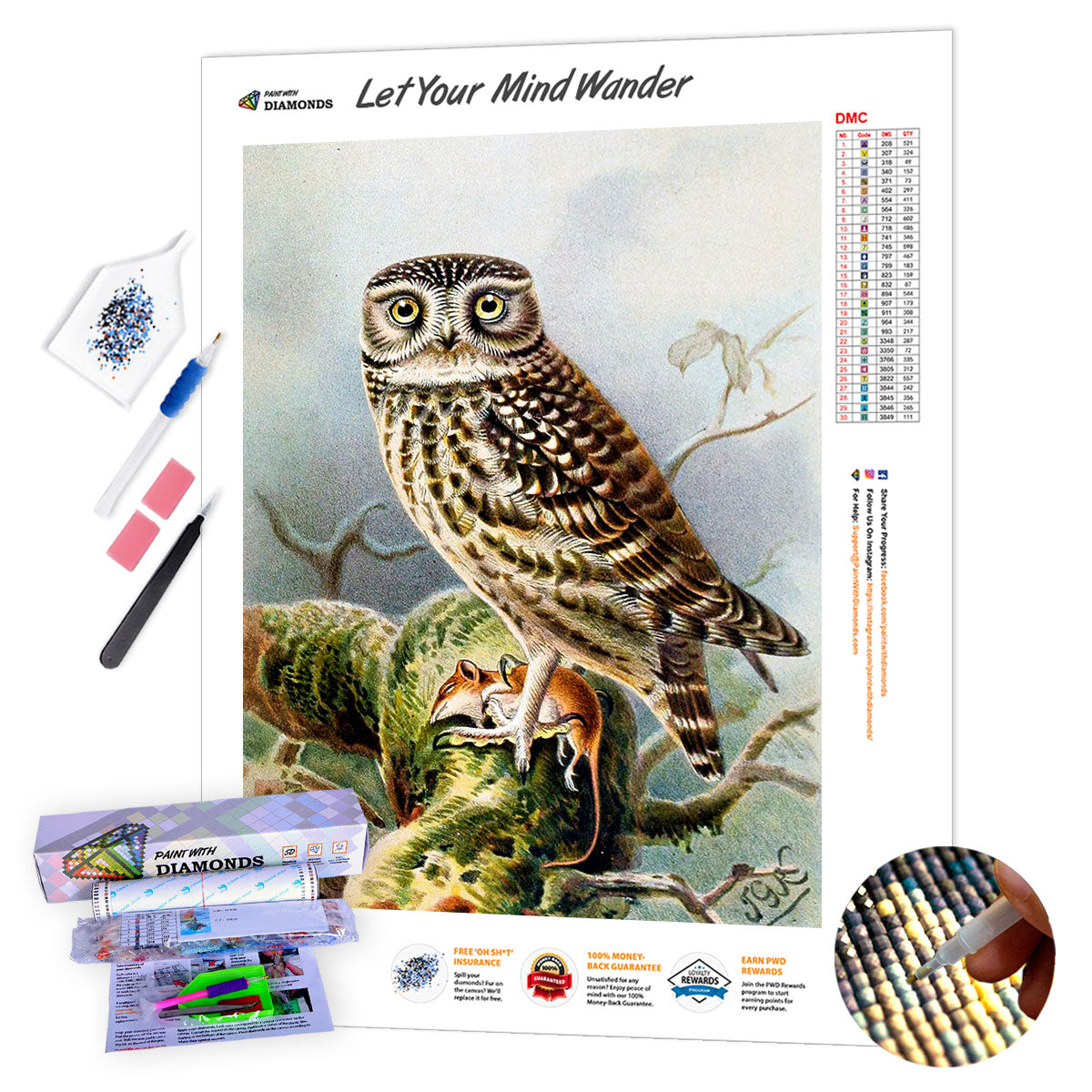 "Little Owl" Diamond Painting Kit (Full Drill) – Paint With Diamonds