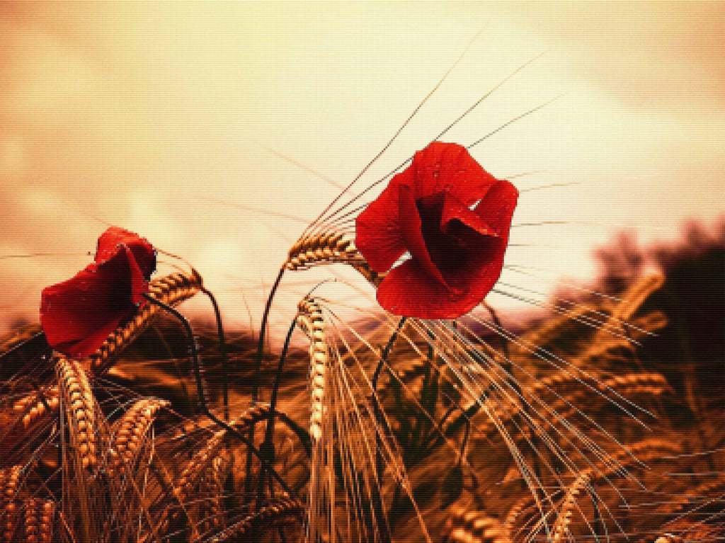 "Poppy Red" Diamond Painting Kit (Full Drill) – Paint With Diamonds