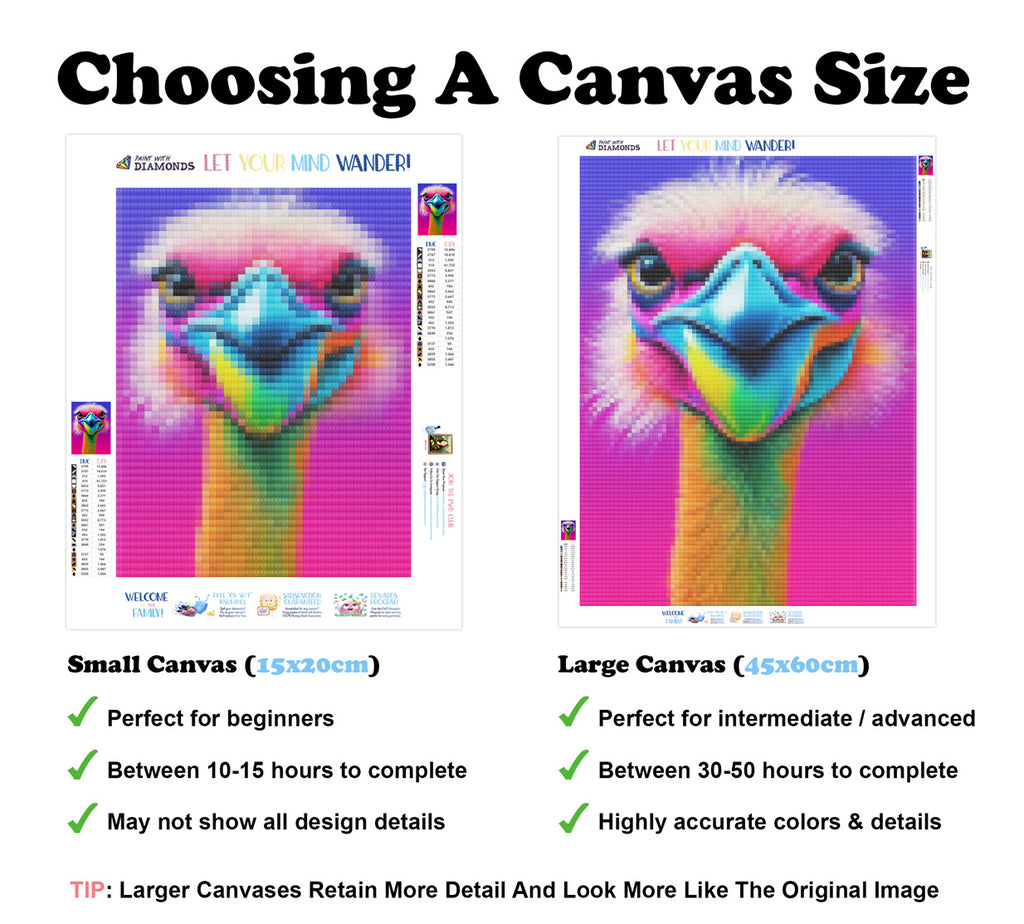 Rainbow Ostrich Official Diamond Painting Kit | Diamond Art | Paint ...